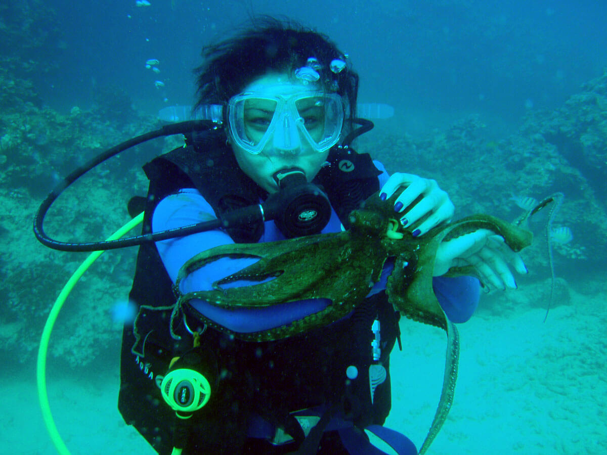 Best Diving Hawaii, Scuba Dive Sites Hawaii Best Diving Hawaii, Scuba Dive Sites Hawaii